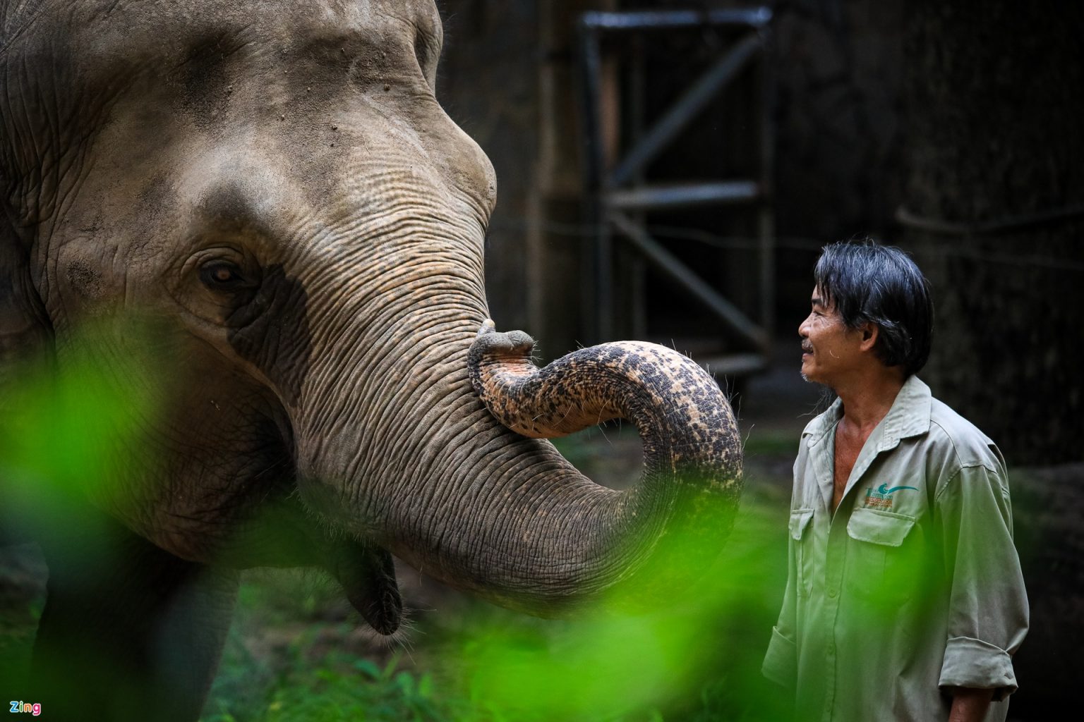 Thảo Cầm Viên - 2024 - Thảo Cầm Viên - Saigon Zoo & Botanical Gardens