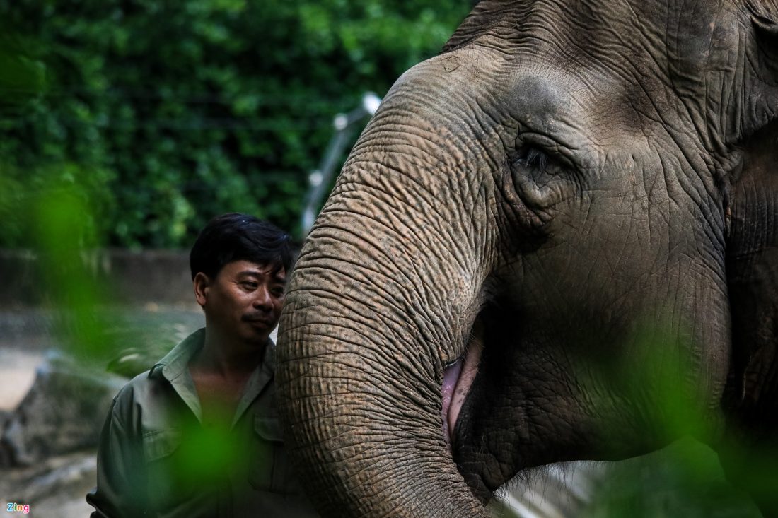 Thảo Cầm Viên - 2024 - Thảo Cầm Viên - Saigon Zoo & Botanical Gardens